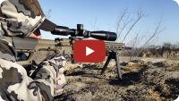 WATCHMAN XR 22 ARC AR-15 Rifle - RISE Armament